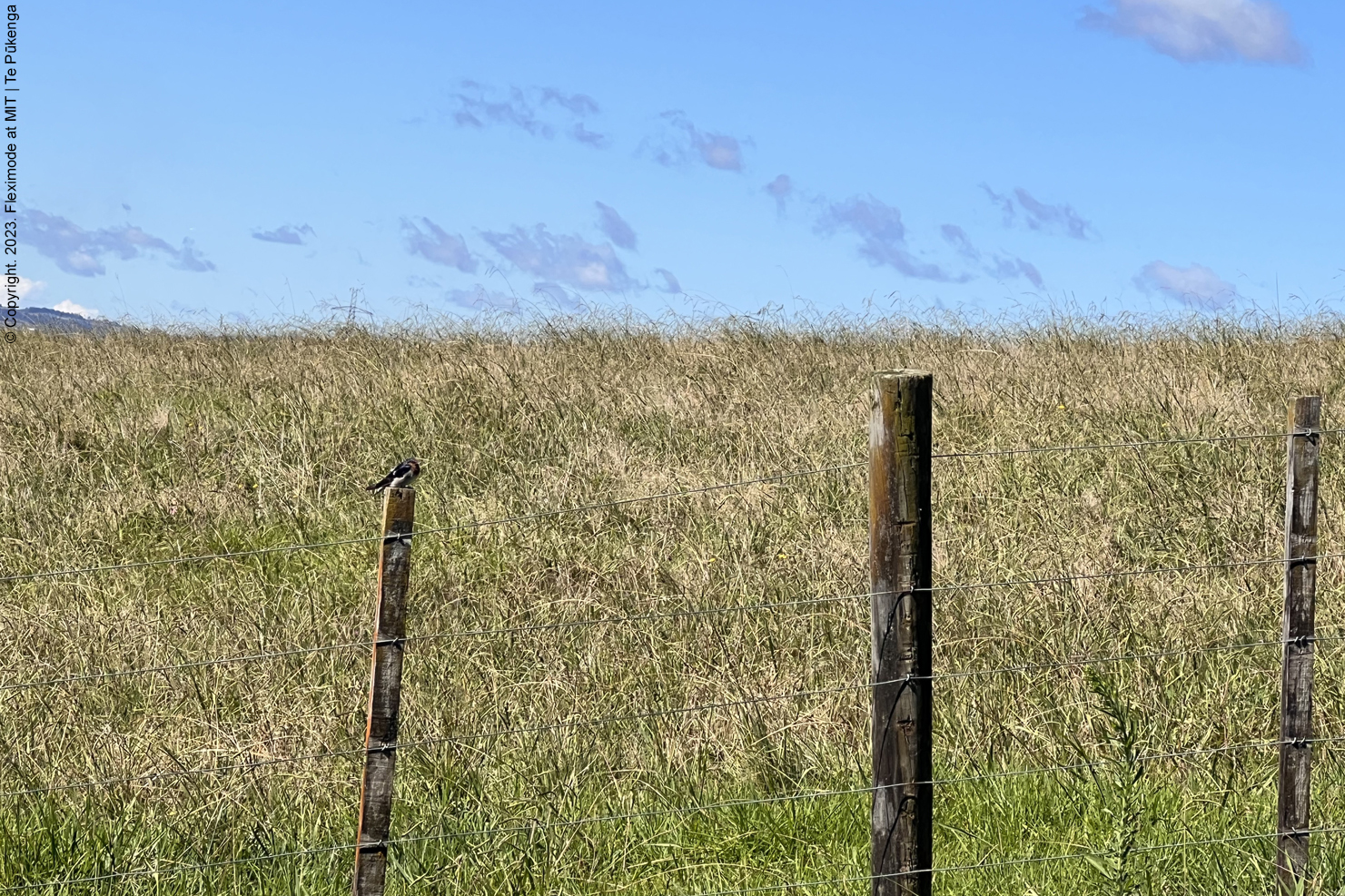 Farm Fence Posts - Knowledge Base