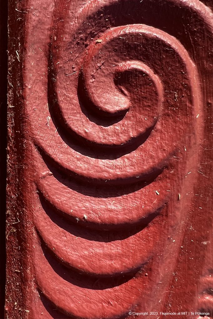 Māori Carving Close Up 2 - Knowledge Base