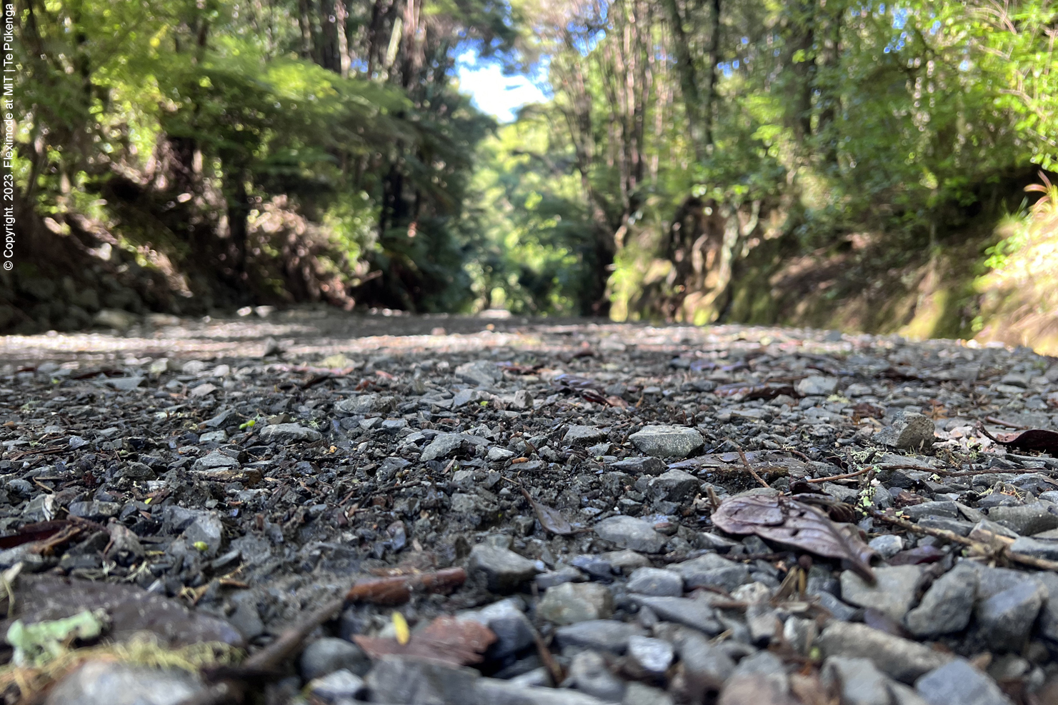 Path Close Up - Knowledge Base