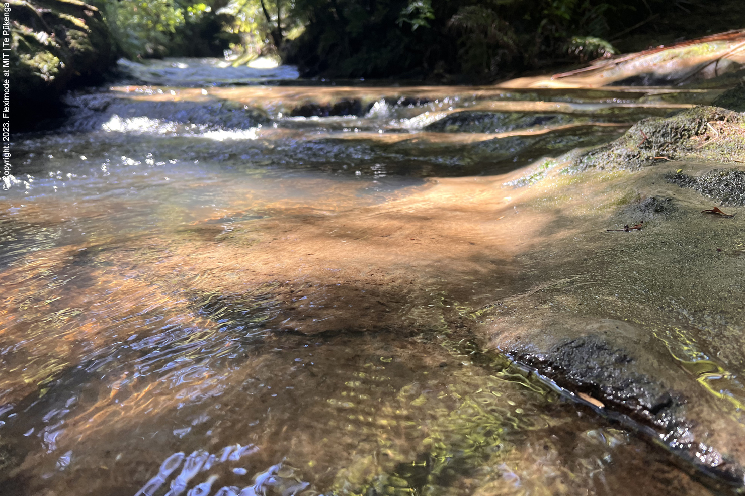 Wai Stream - Close Up 2 - Knowledge Base