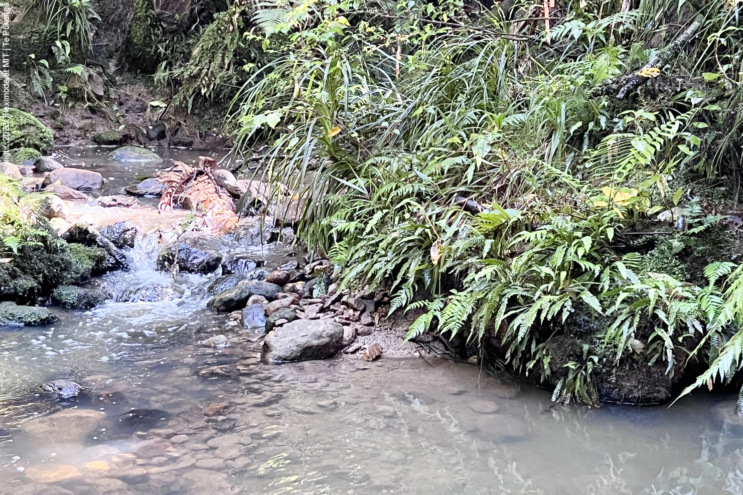 Wai Stream 1 - Knowledge Base