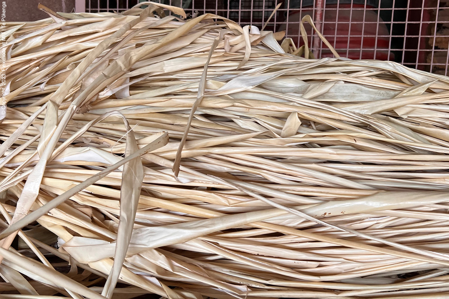 Paper Bark - Knowledge Base